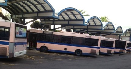 Bermuda Bus Service: All You Need To Know